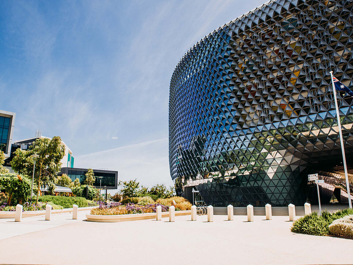 SAHMRI | SAHMRI research reaps rewards of new grant funding scheme