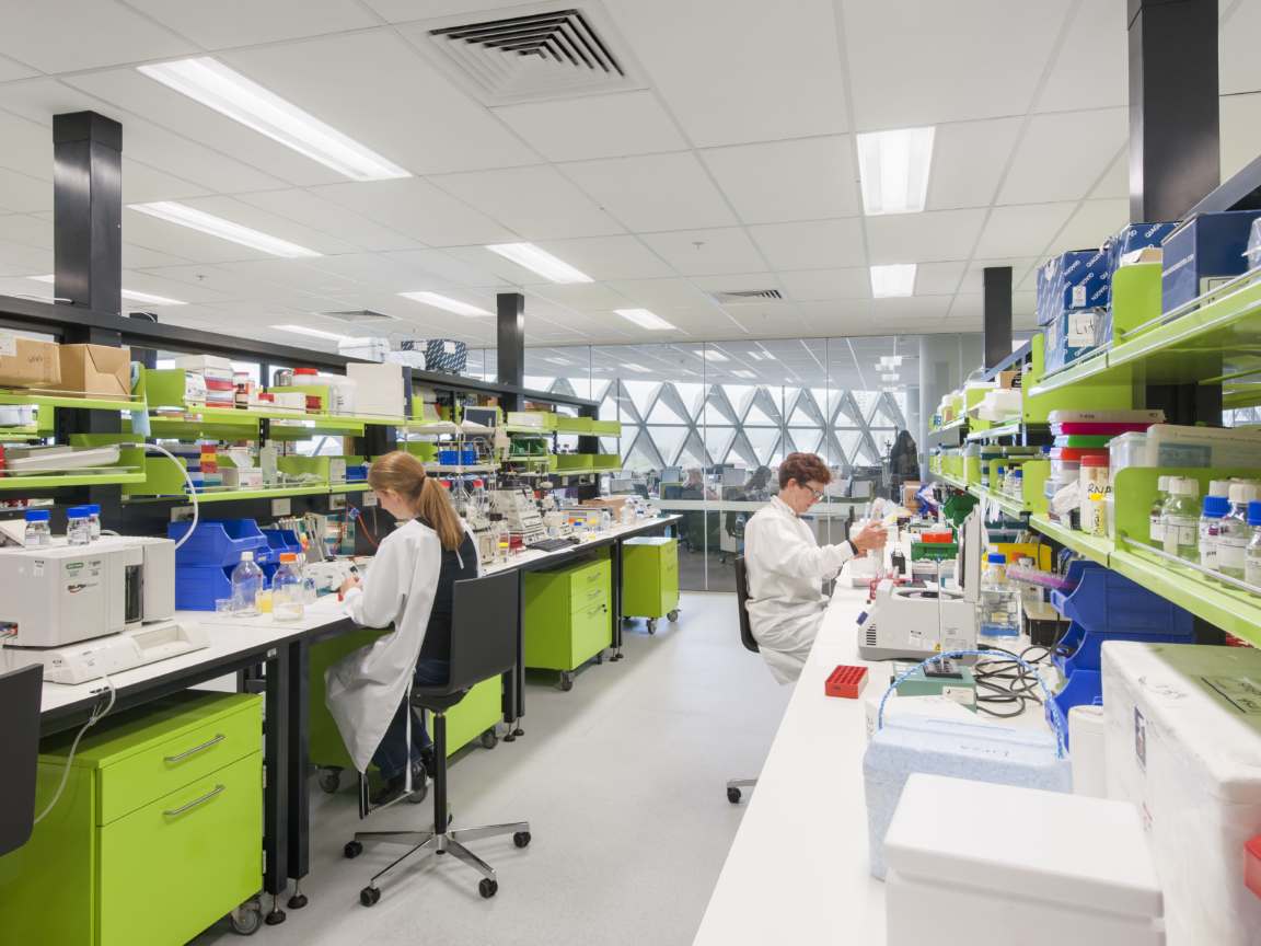 SAHMRI | Mesenchymal Stem Cell Laboratory
