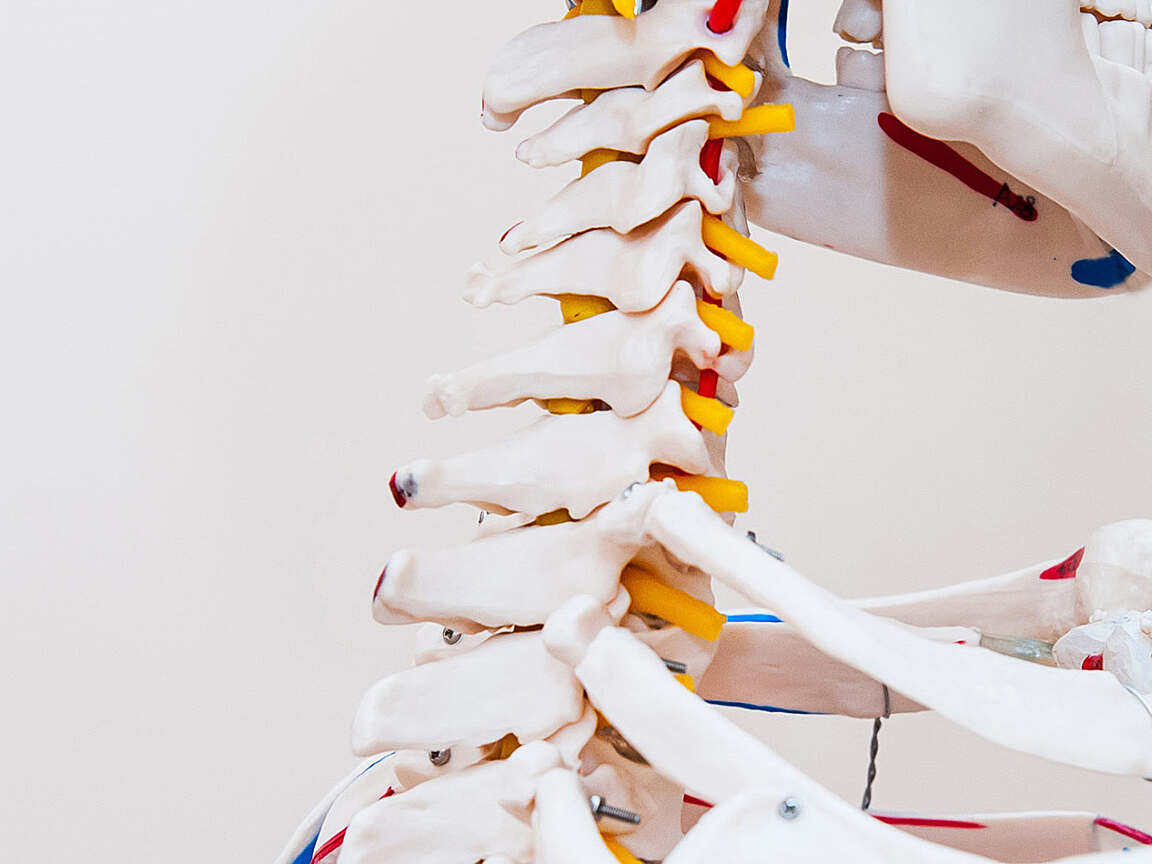 SAHMRI | An Interview with the Neil Sachse Centre's Dr Ryan O'Hare Doig