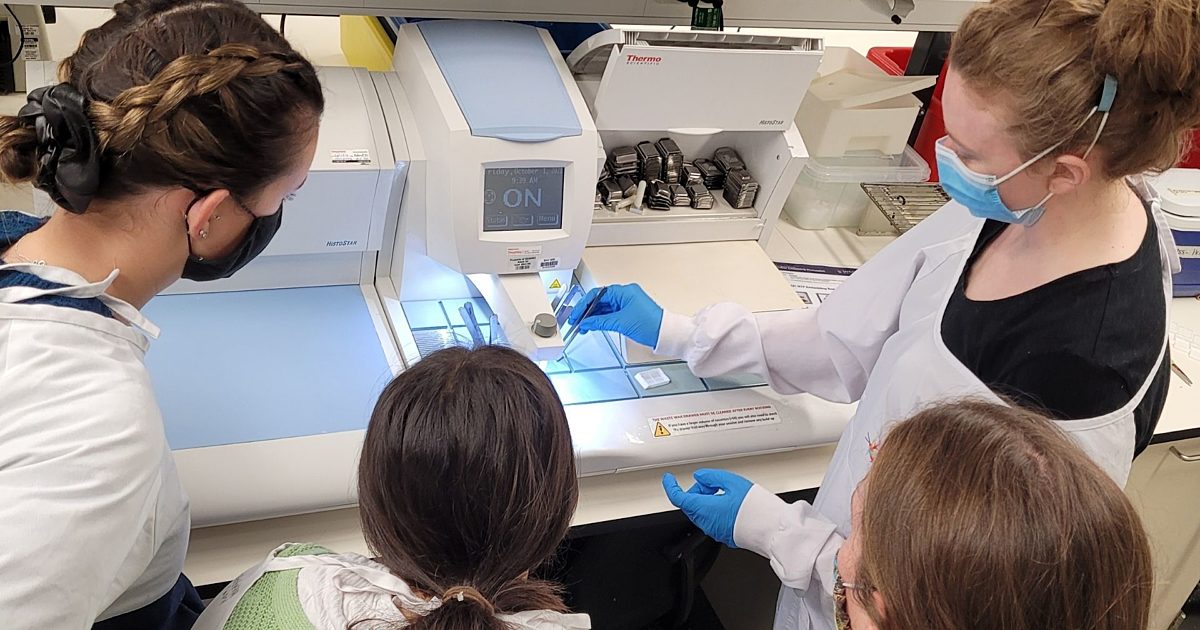 SAHMRI | Work Experience Program 2025