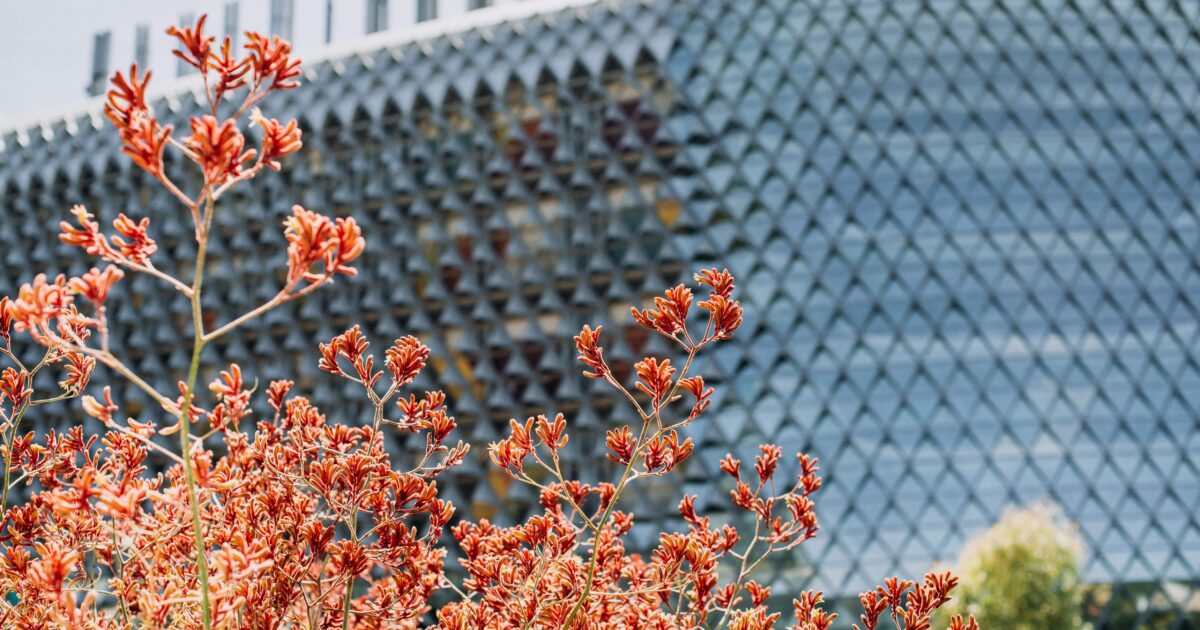 SAHMRI | New SAHMRI projects set to make major impact