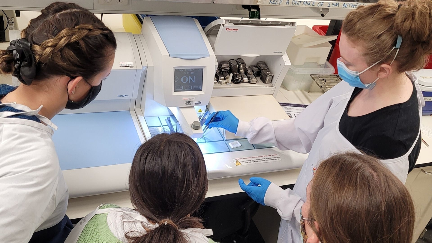 SAHMRI | Work Experience Program