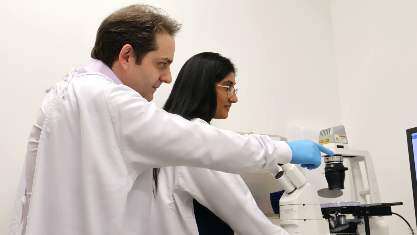 SAHMRI | Peter Psaltis