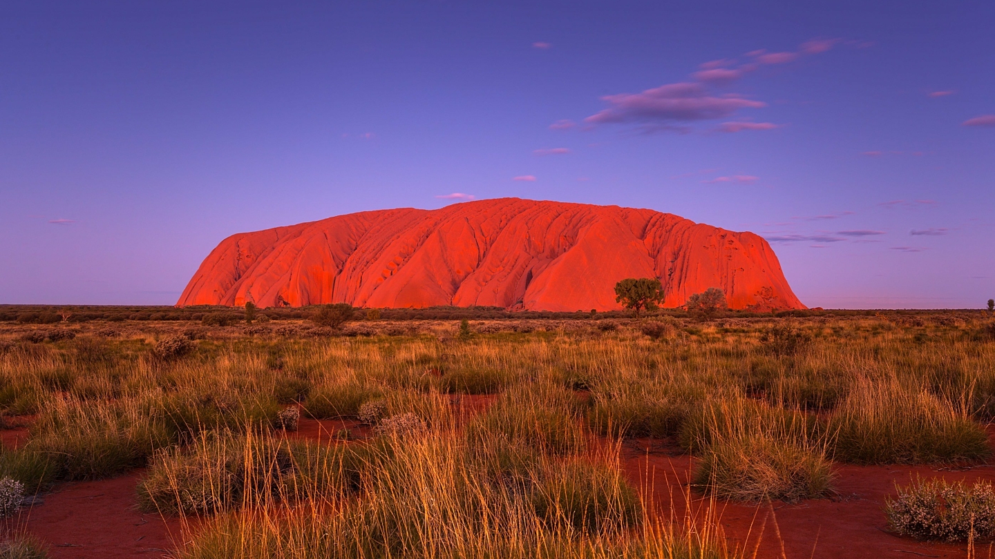 SAHMRI | SAHMRI supports the Uluru Statement from the Heart