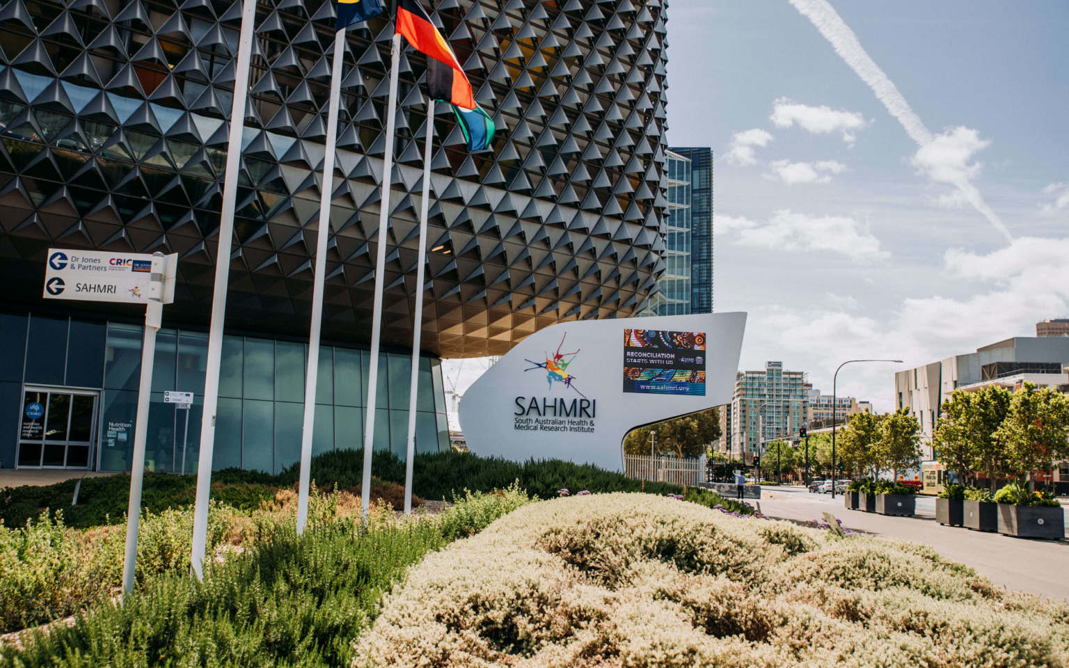 SAHMRI | Our Board