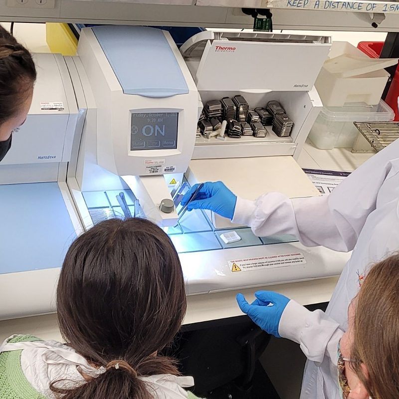 SAHMRI | Work Experience Program