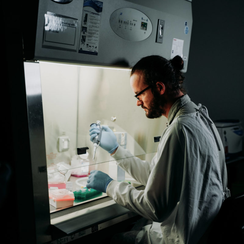 Sahmri Gene Regulation And Cell Signalling