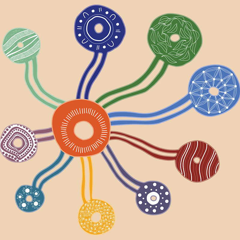 SAHMRI | The CREATE Project