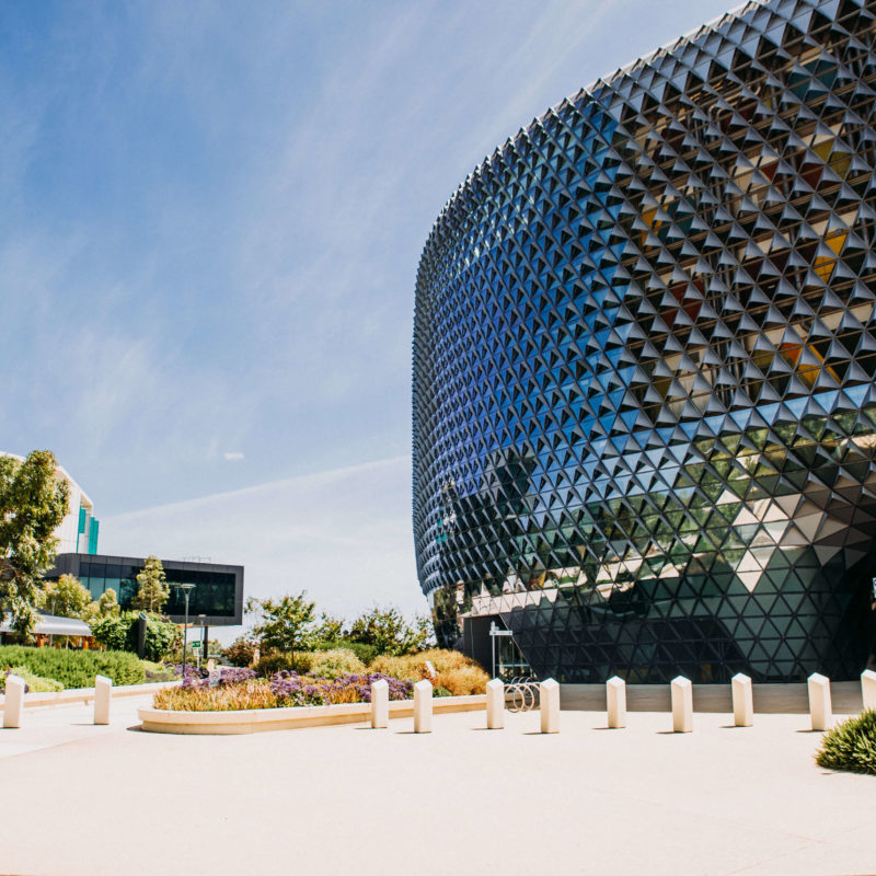 SAHMRI | Our Research Advisory Committee