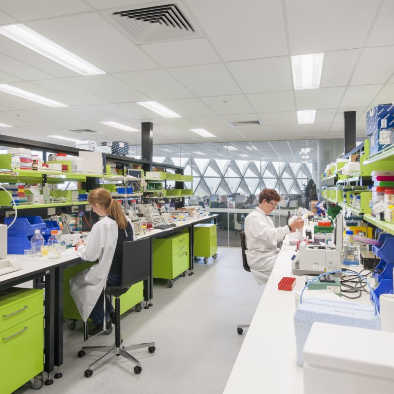 SAHMRI | Mesenchymal Stem Cell Laboratory