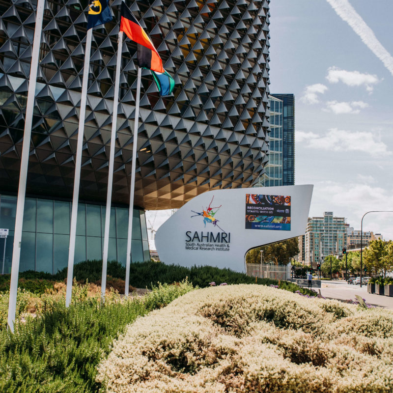 SAHMRI | Our Board