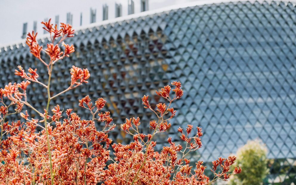 SAHMRI | New SAHMRI projects set to make major impact